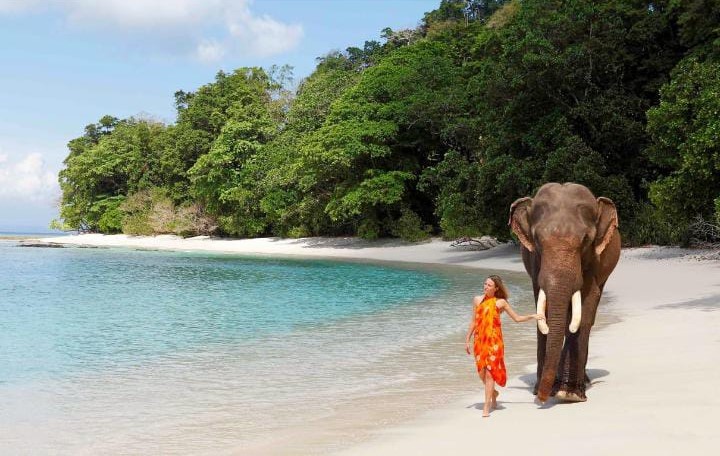 Plan Trip Andaman